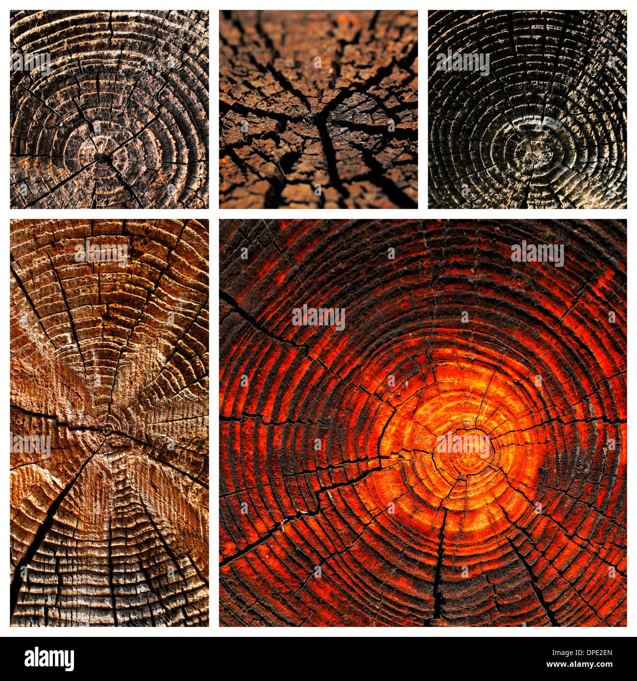 Natural details of sun dried wood of a 100 years old barn Stock Photo ...