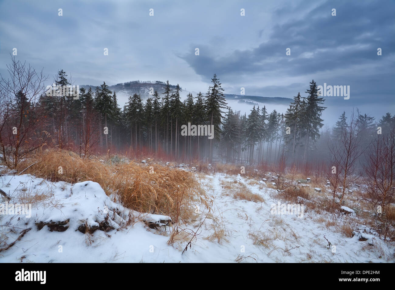 Hiking in the harz mountains hi-res stock photography and images - Alamy