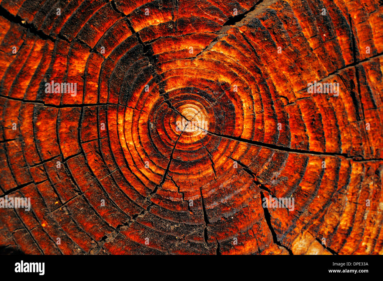 Natural details of sun dried wood of a 100 years old barn Stock Photo ...