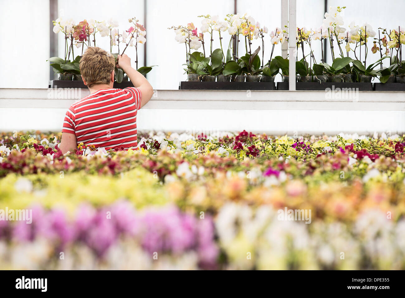 Tops day nursery hi-res stock photography and images - Alamy