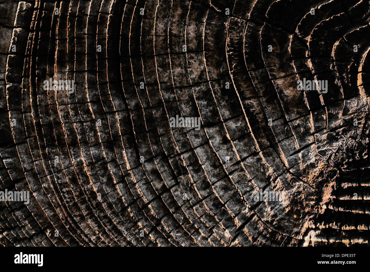 Natural details of sun dried wood of a 100 years old barn Stock Photo ...