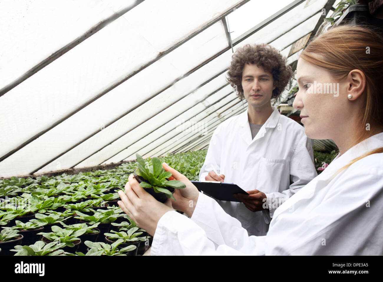 Horticulturists hi-res stock photography and images - Alamy