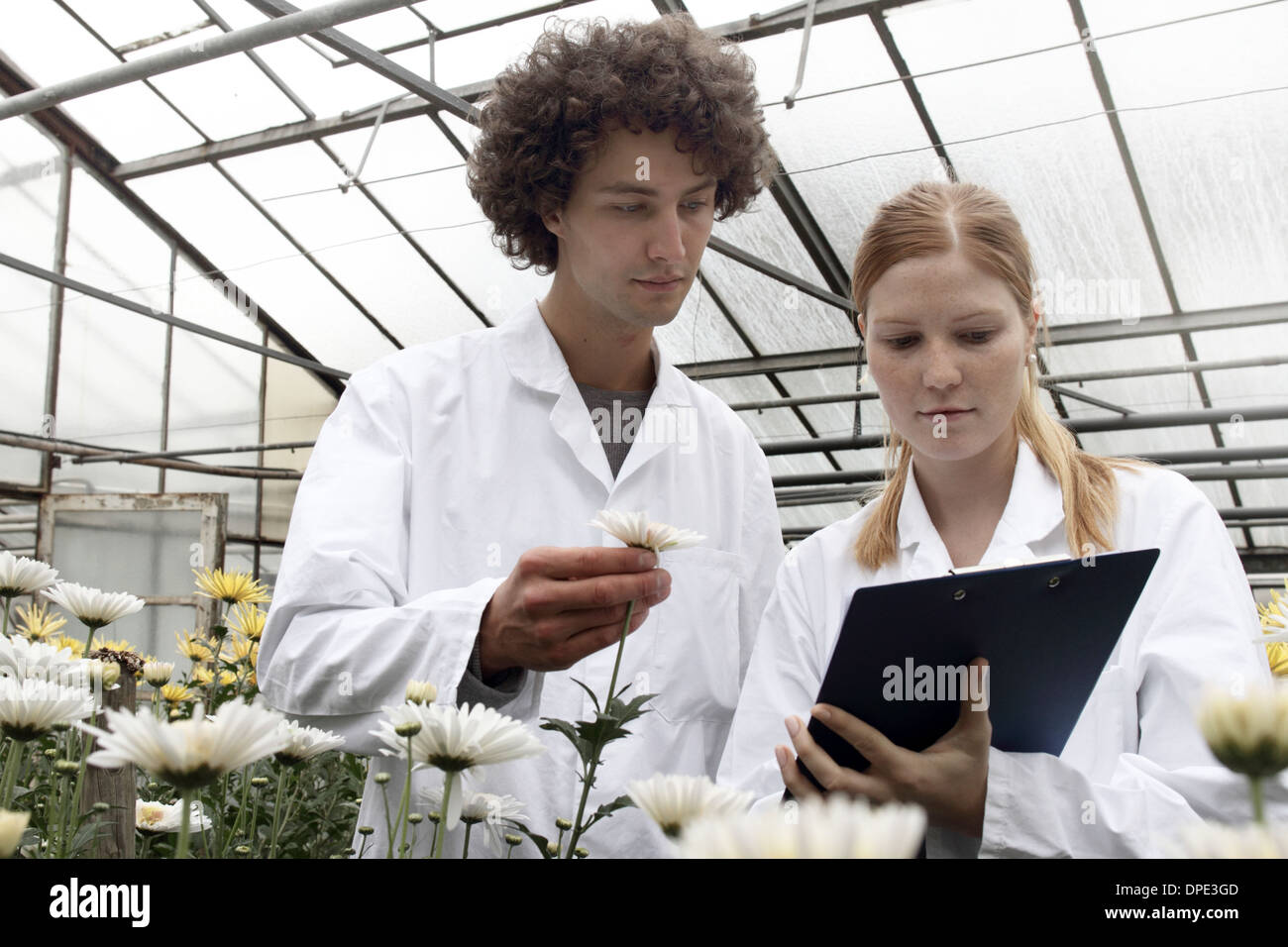 Horticulturists collection hi-res stock photography and images - Alamy