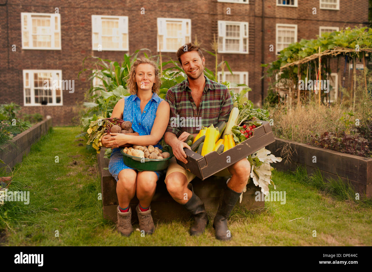 Couple holding harvested vegetables on council estate allotment Stock ...