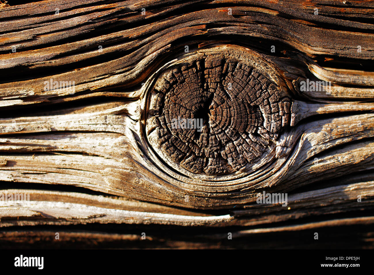Natural details of sun dried wood of a 100 years old barn Stock Photo ...