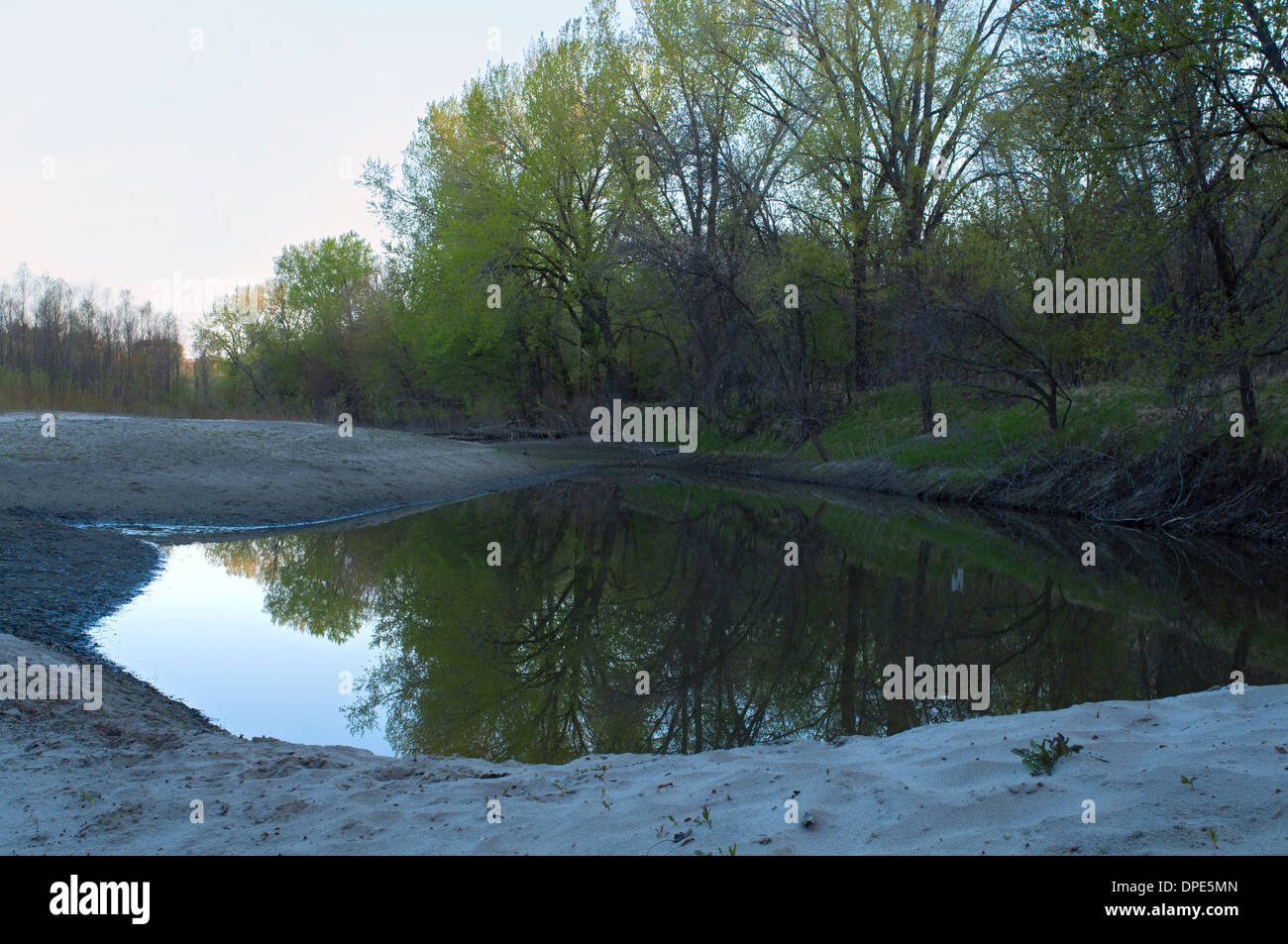 Floodplains pond and forest of Fort Snelling State Park in Mendota ...