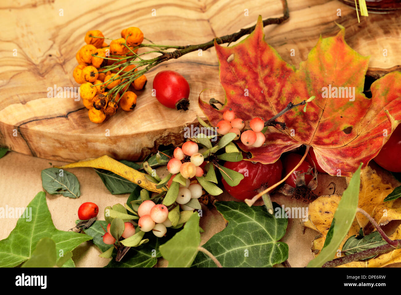 Autumn composition of fallen leafs, ivy, hawthorn, rowan etc. on a ...