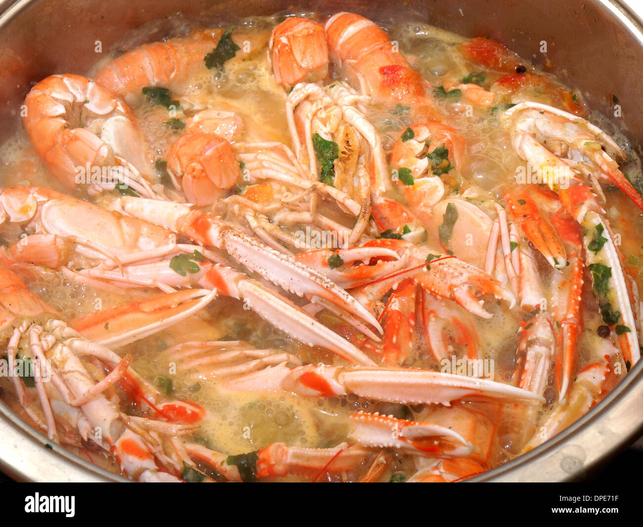 Seafood scampi meal close hi-res stock photography and images - Alamy