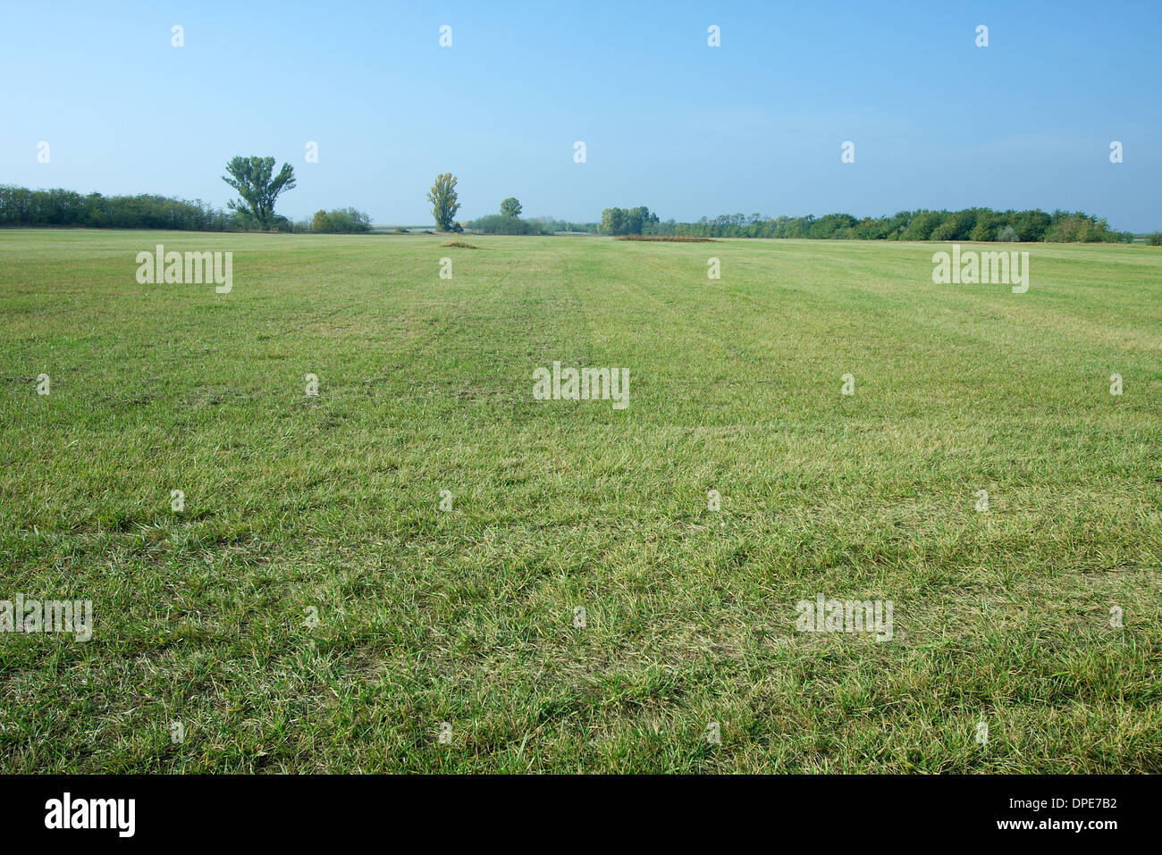 Flat grass field hi-res stock photography and images - Alamy