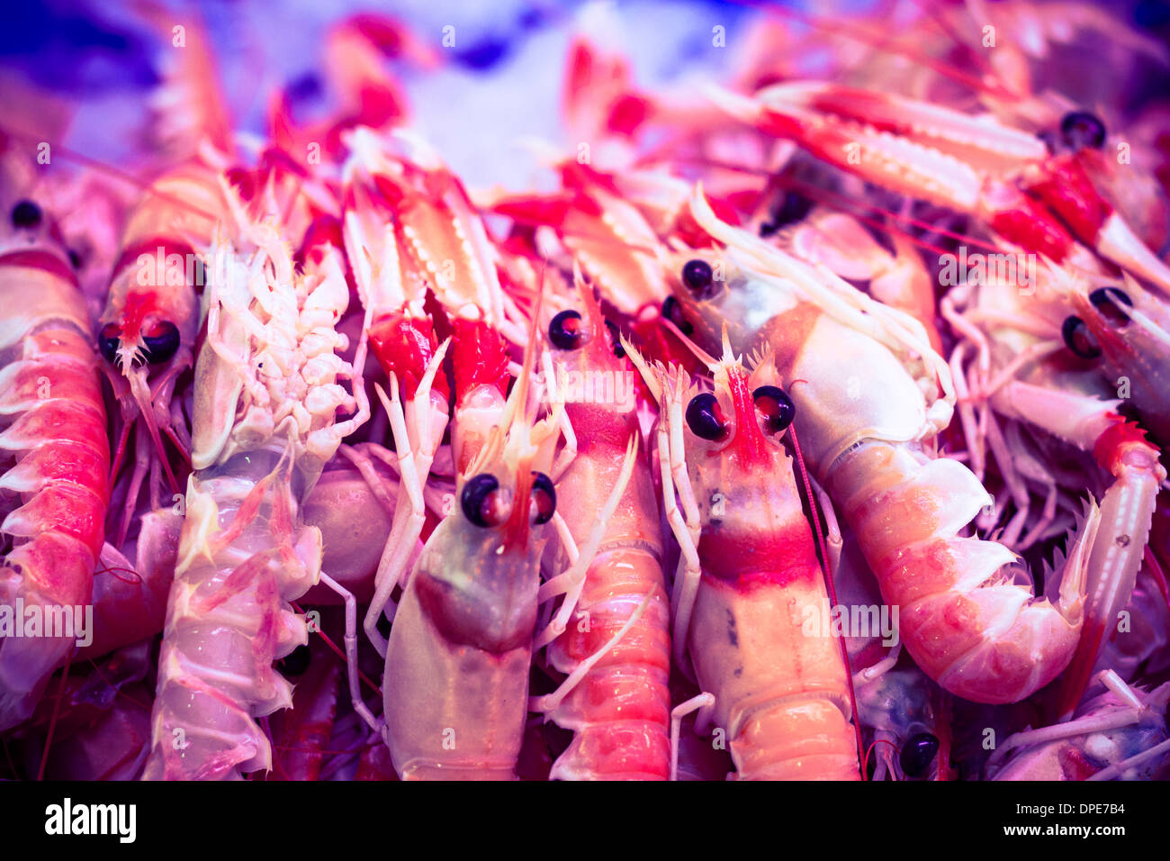 Seafood raw red prawns hi-res stock photography and images - Alamy