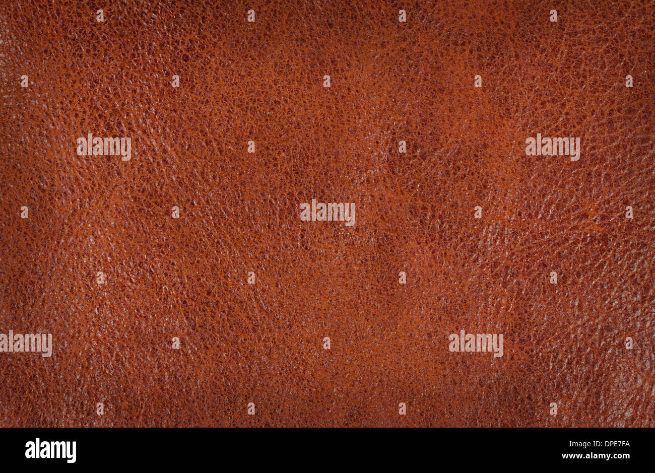 Shiny skin hi-res stock photography and images - Alamy