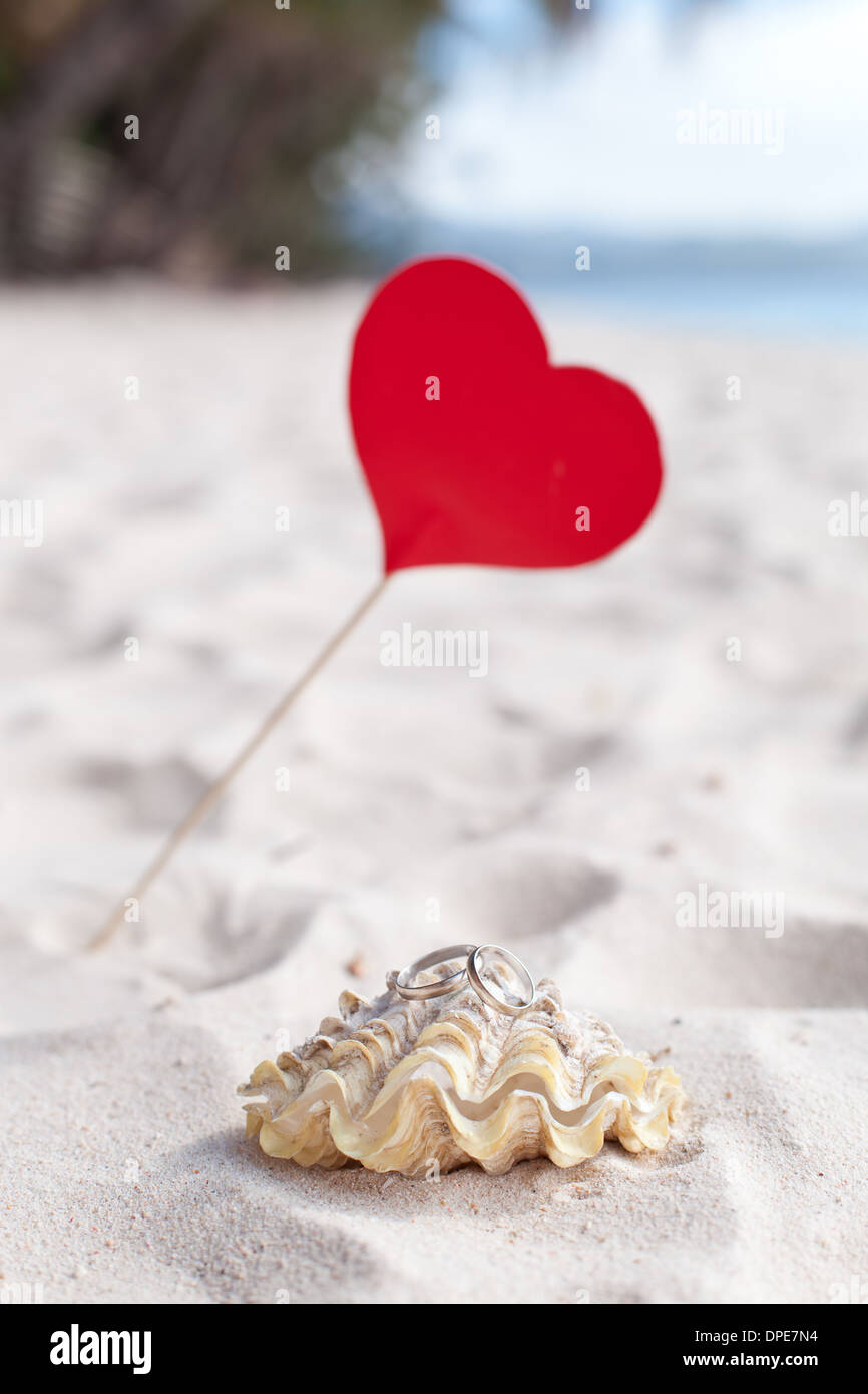 Seashell wedding rings on beach hi-res stock photography and images - Alamy