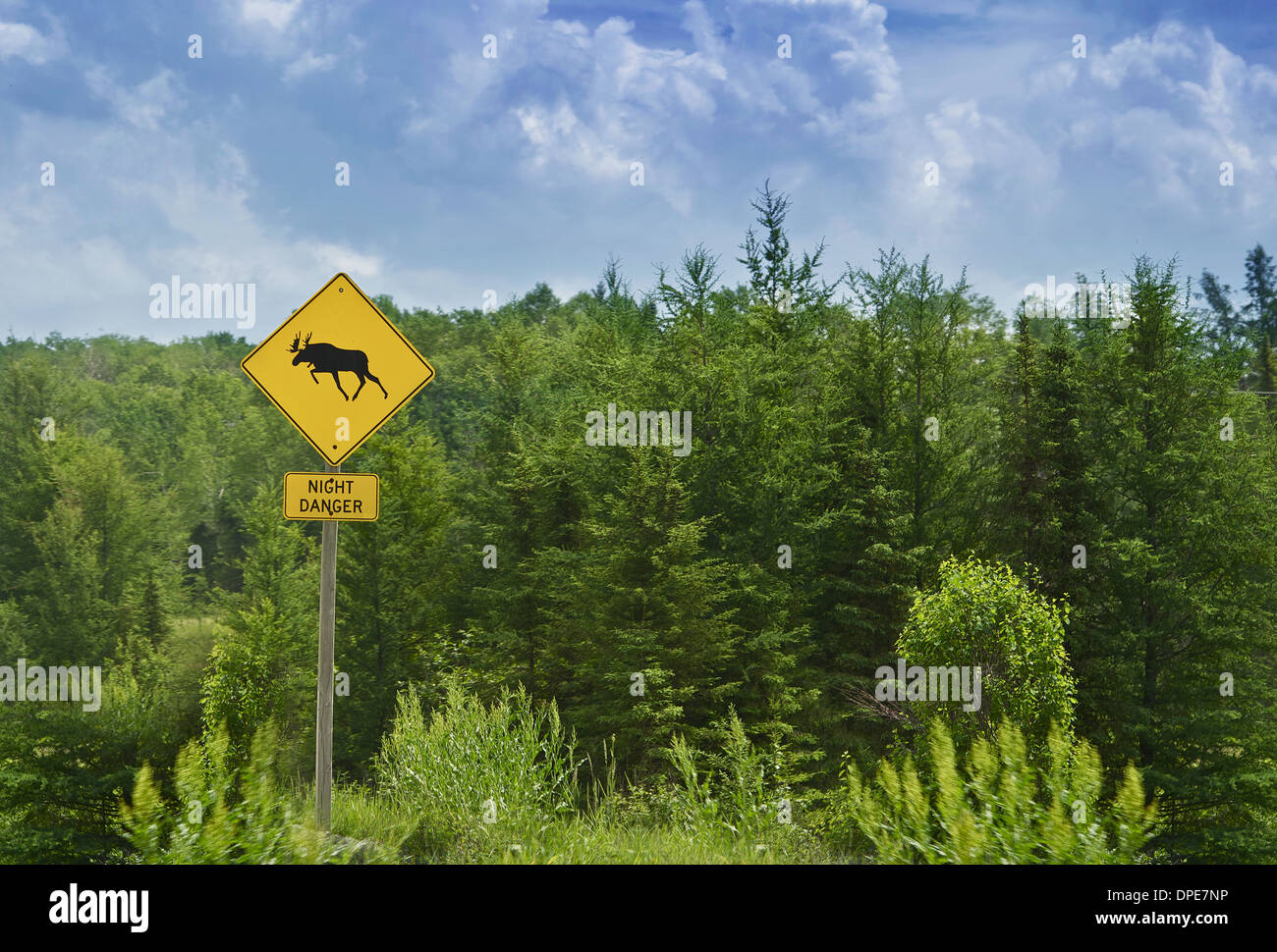 Moose Crossing Road Sign in Ontario, Canada. Moose Crossing - NIght ...