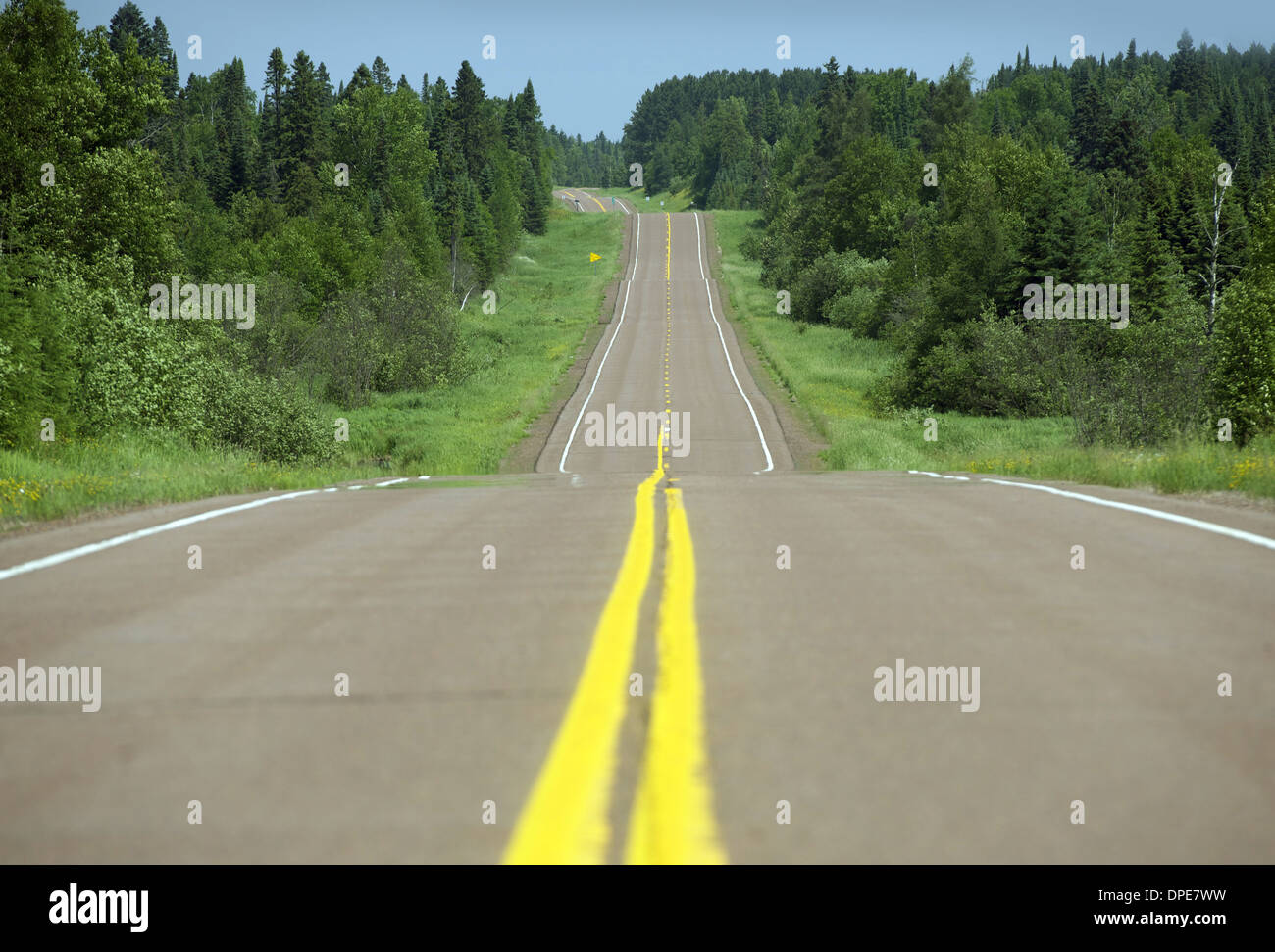 Never ending forest hi-res stock photography and images - Alamy