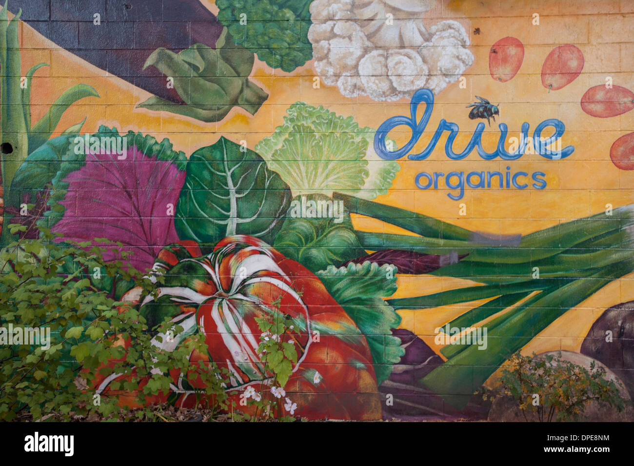 Graffiti on commercial building hi-res stock photography and images - Alamy
