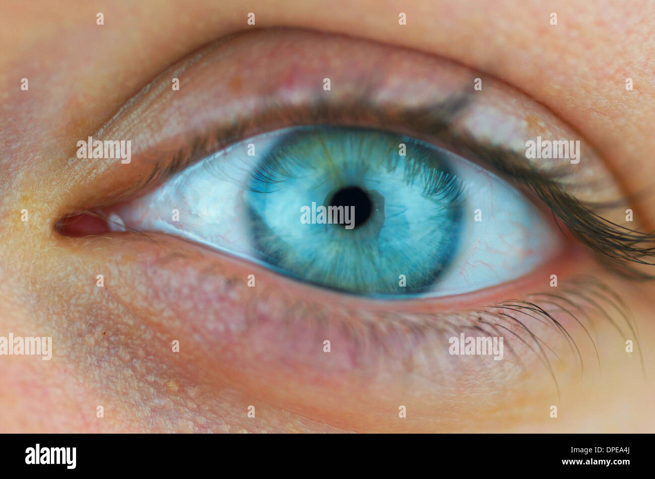 Left eye, very expressive and blue green, of a woman, shot very close ...