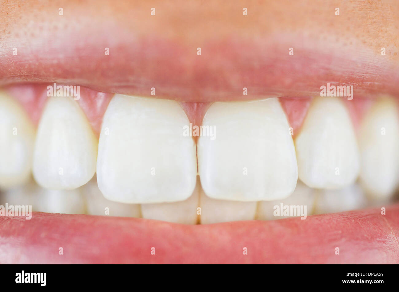 Perfect Teeth Stock Photos & Perfect Teeth Stock Images - Alamy