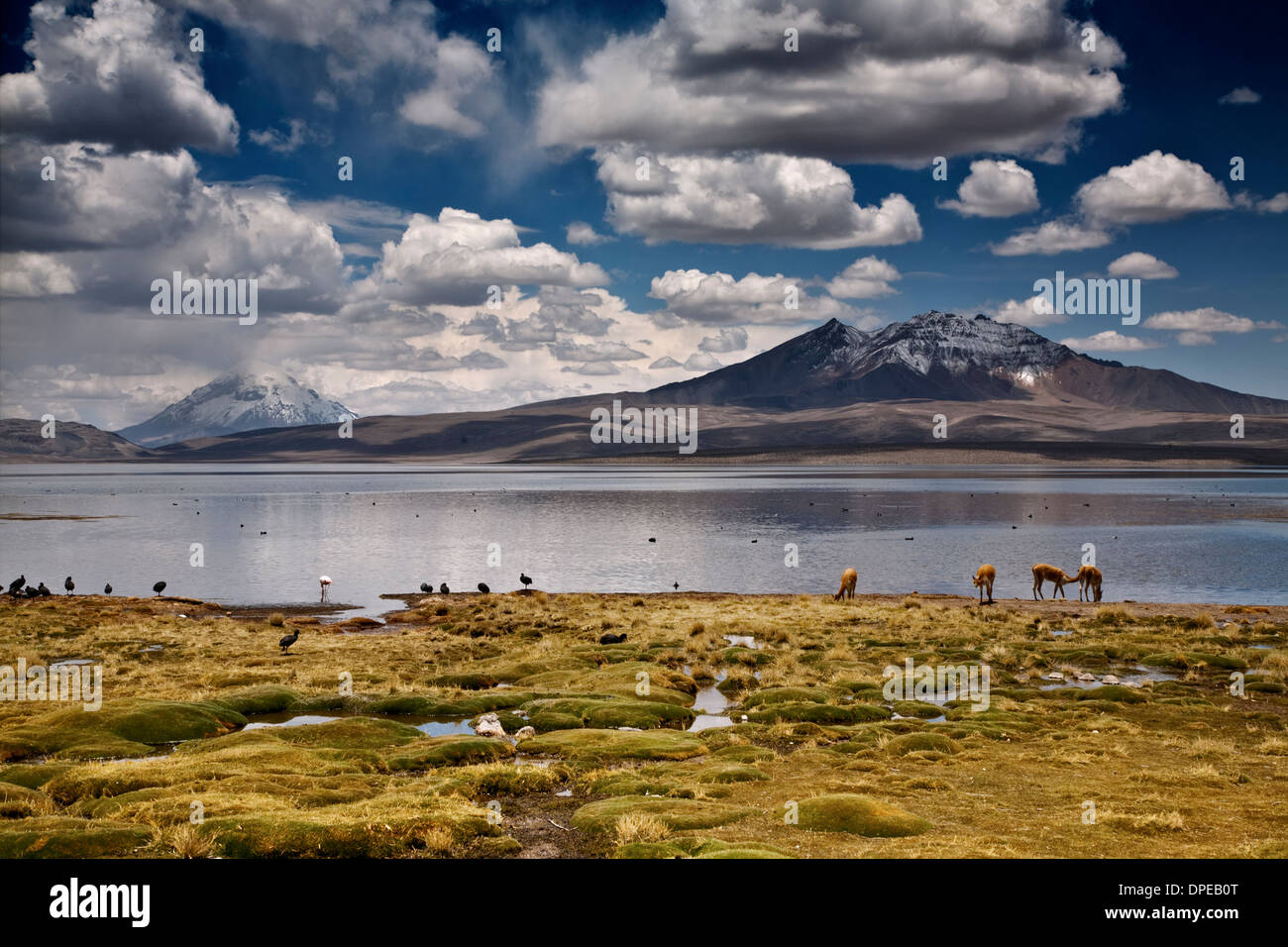 Quisi quisini volcano hi-res stock photography and images - Alamy