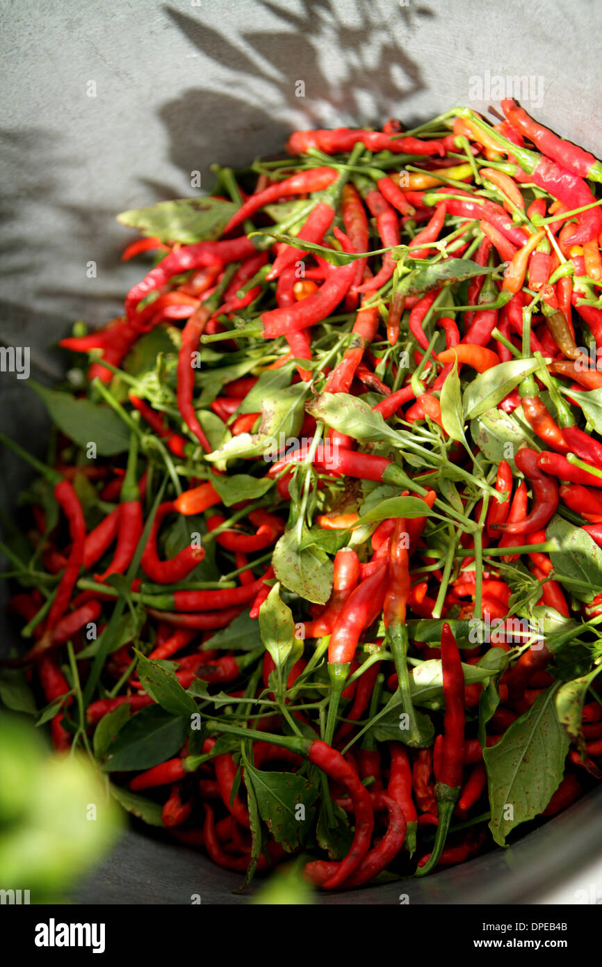 Fresh Red Chillis in a street market in Ghana, West Africa Stock Photo ...