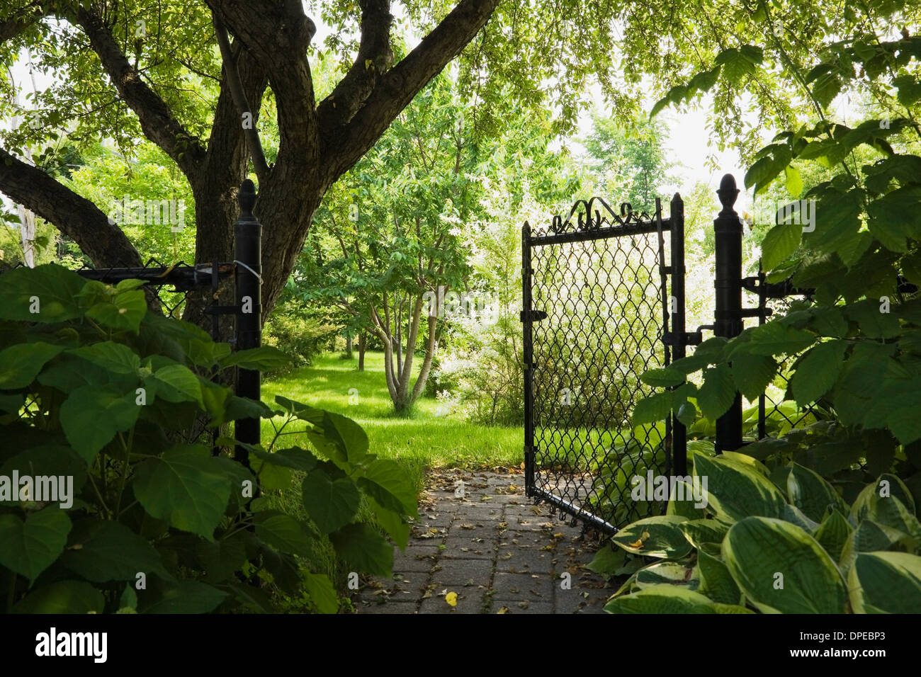 Overgrown garden gate hi-res stock photography and images - Alamy