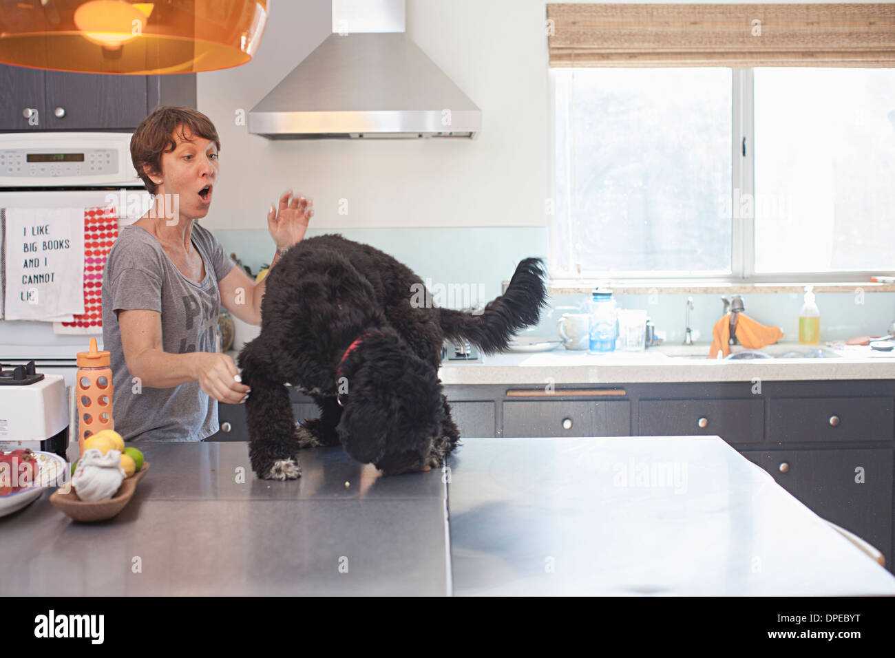 Naughty dog house hi-res stock photography and images - Alamy