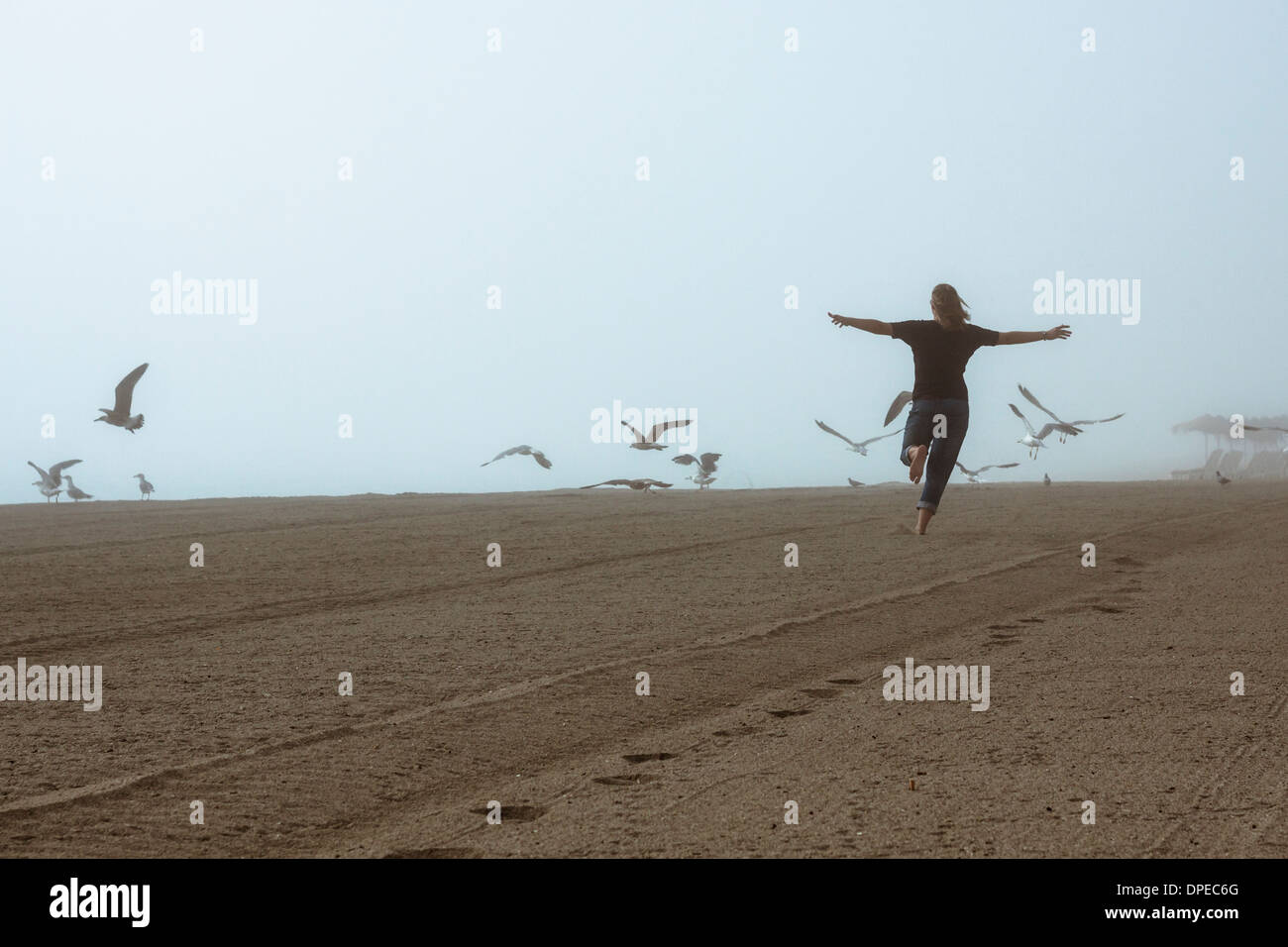 Happy birds hi-res stock photography and images - Alamy