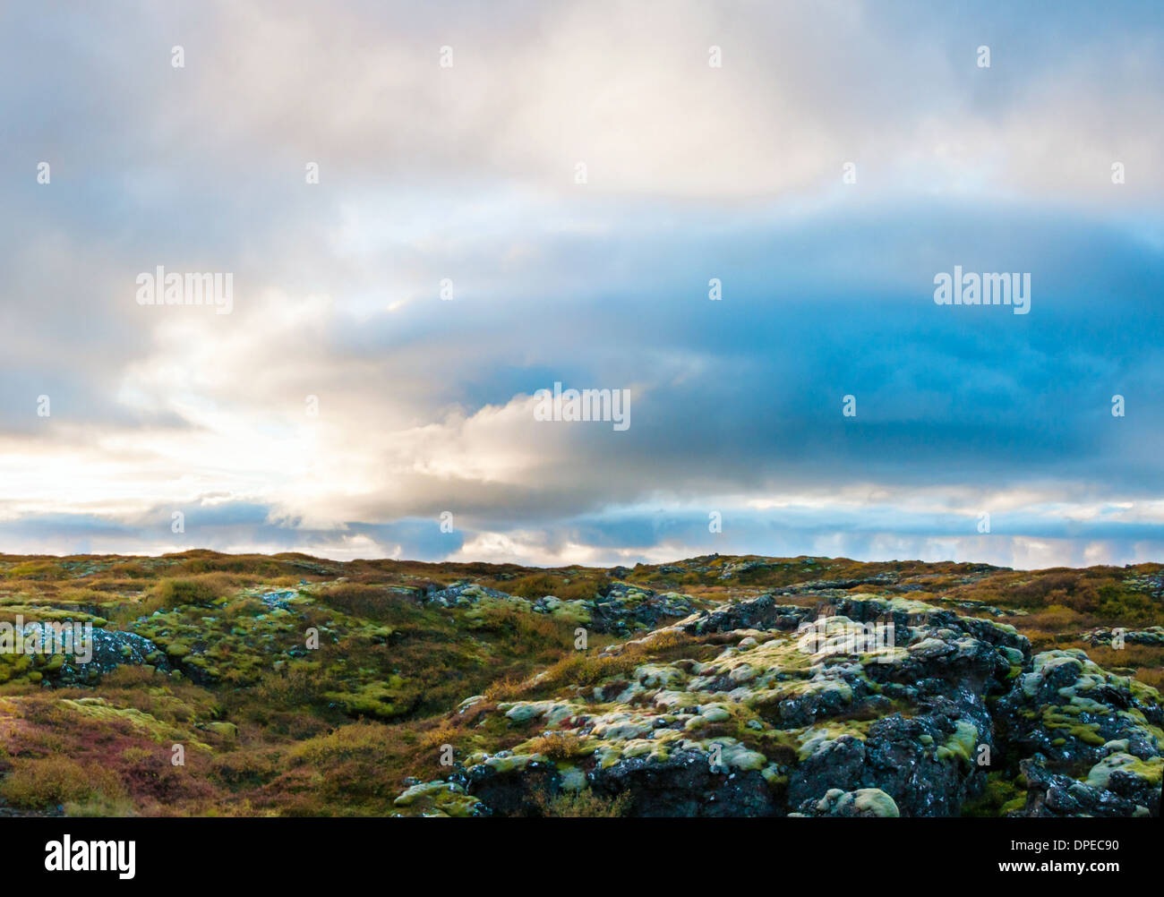 Icelandic landscape with volcanic rocks and green grass Stock Photo - Alamy