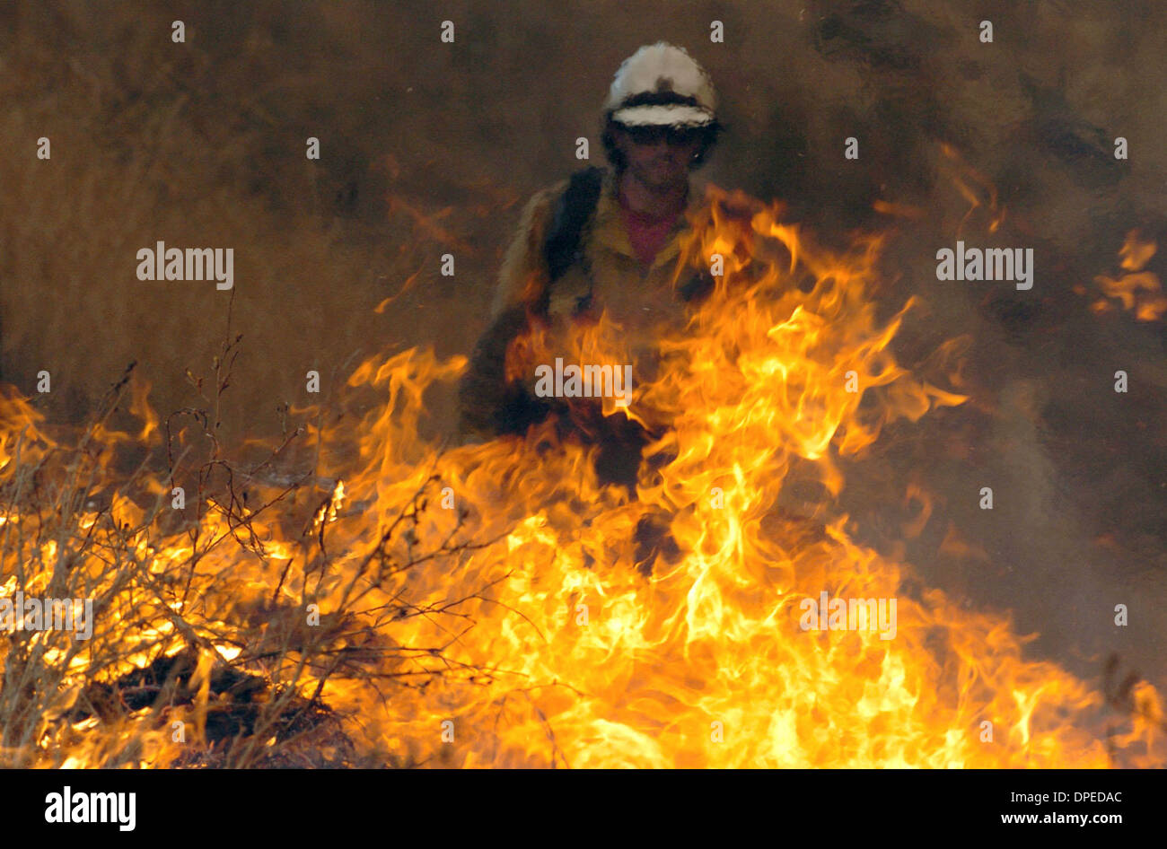 Sep 12, 2006; Castaic, CA, USA; Firefighter monitor a backfire set to ...
