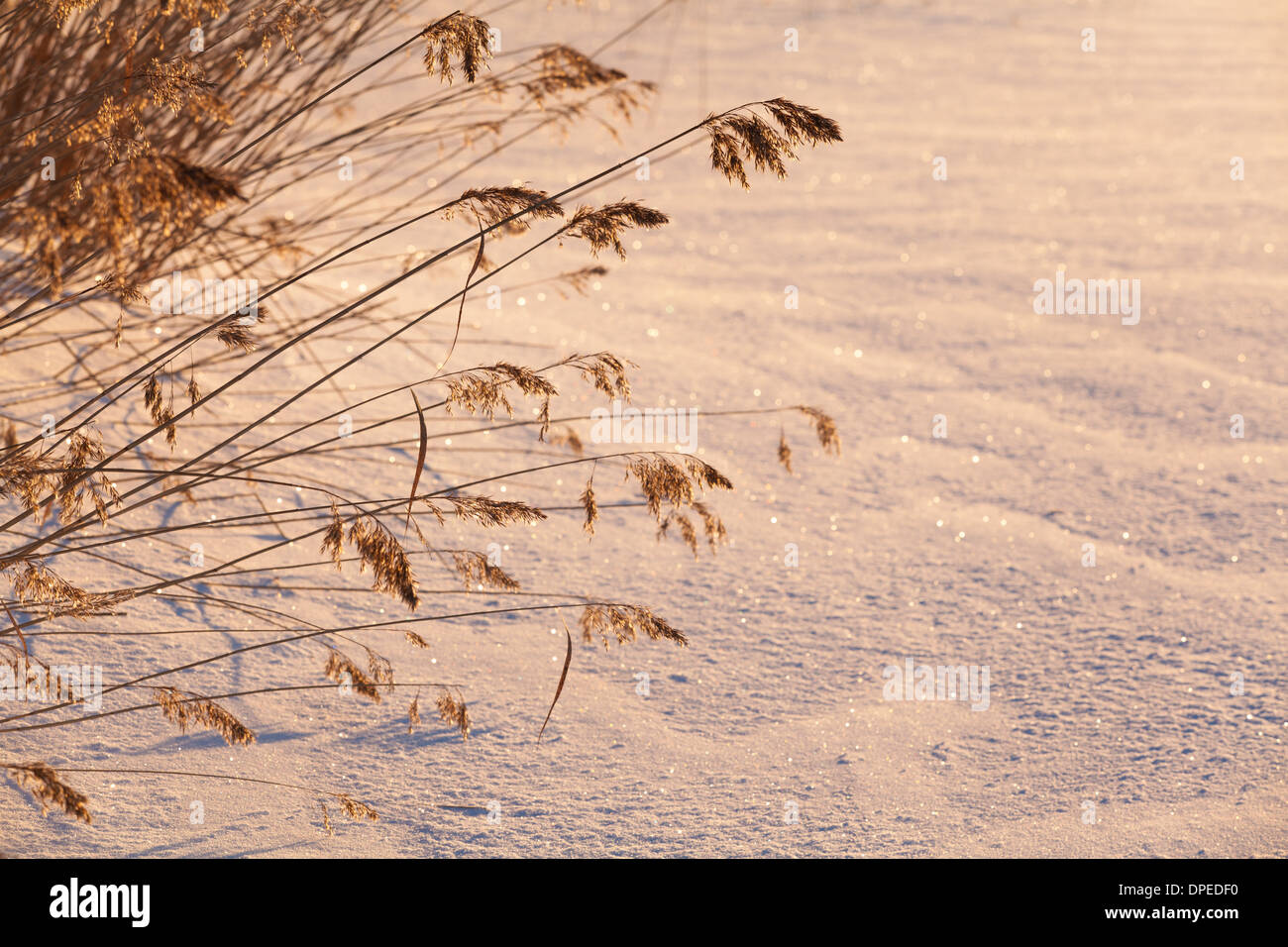 Pakkanen hi-res stock photography and images - Alamy