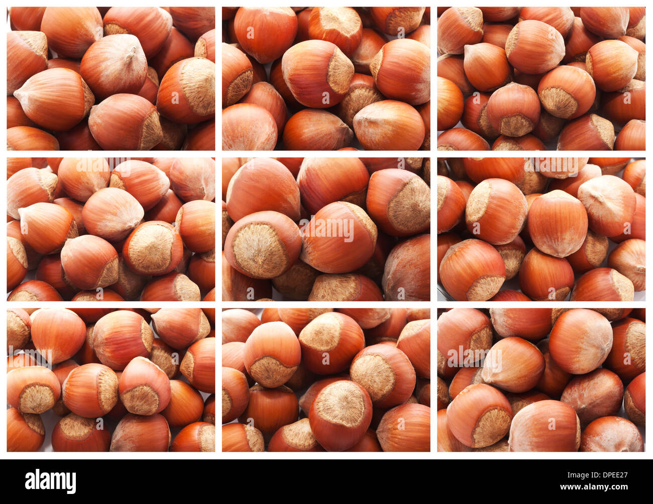 Hazelnut filbert hi-res stock photography and images - Alamy
