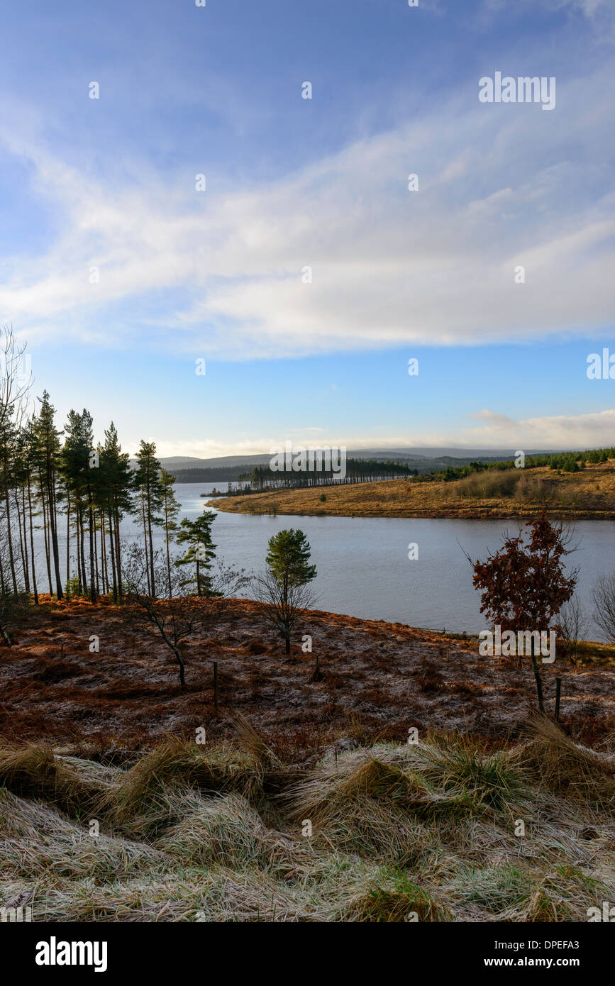 Kielder water and forest park hi-res stock photography and images - Alamy