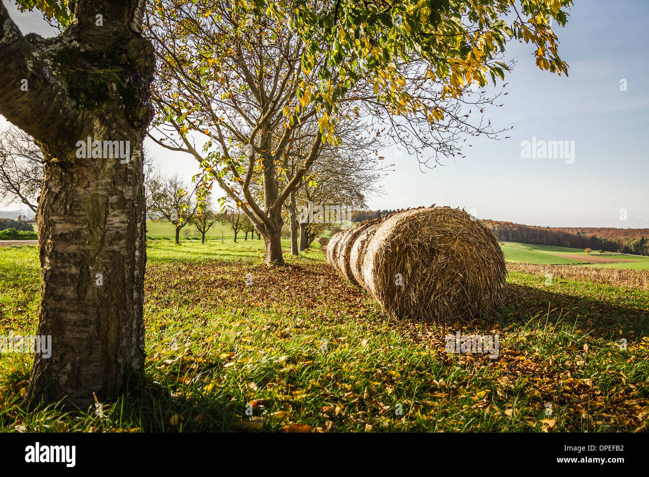 Haystacks in the sun hi-res stock photography and images - Alamy