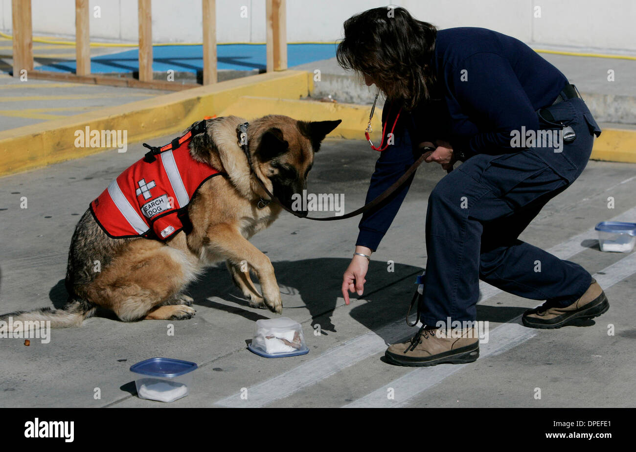 Canine detection training center hi-res stock photography and images ...