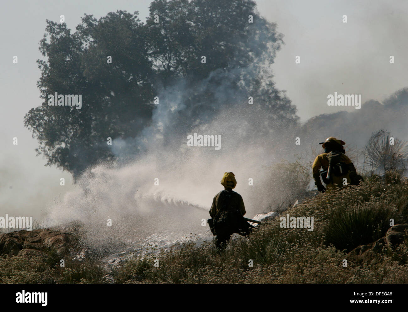 Pinevalley hi-res stock photography and images - Alamy