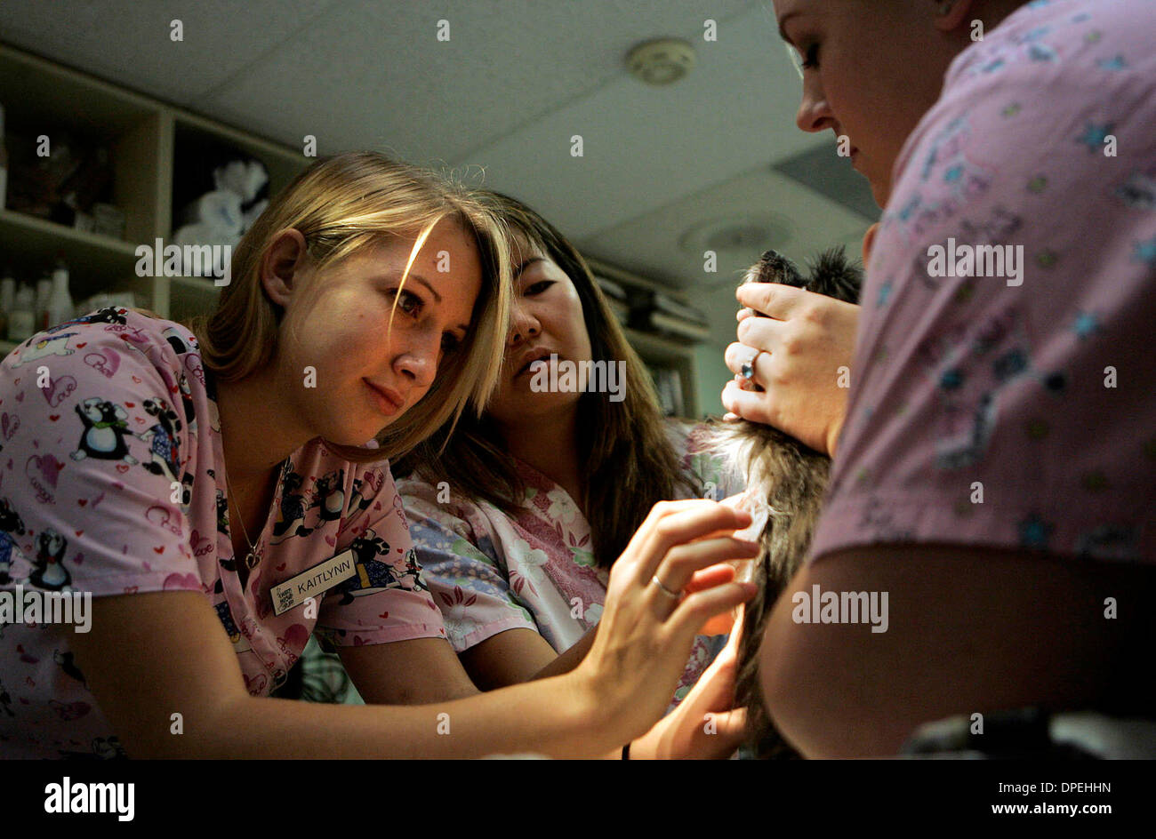 Shanna reed hi-res stock photography and images - Alamy