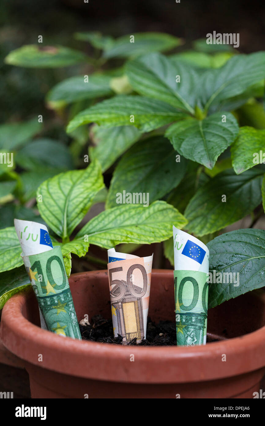 Banknotes open hi-res stock photography and images - Alamy