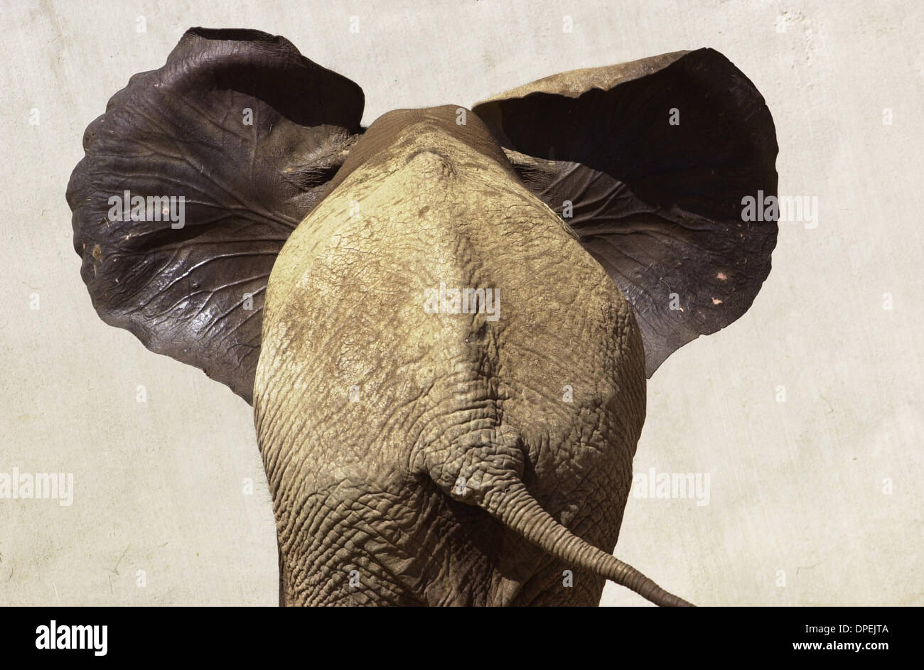 (PUBLISHED 09/10/2003, A-1 refer; B-1; SignOn Gallery: 09/15/2003; Year ...