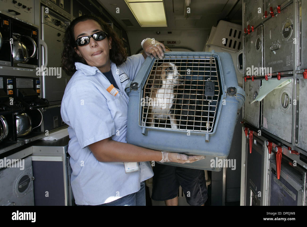 Dozen animals hi-res stock photography and images - Alamy