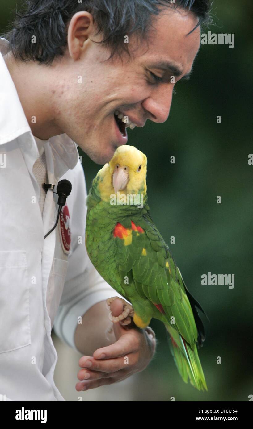 Double yellow headed amazon parrot singing hi-res stock photography and ...
