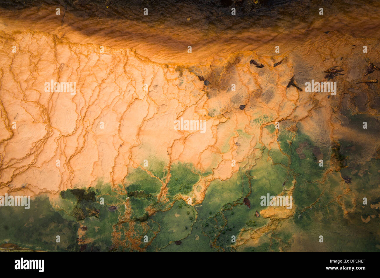 Tepla River, limescale, aragonite, Hot Spring Colonnade Stock Photo - Alamy