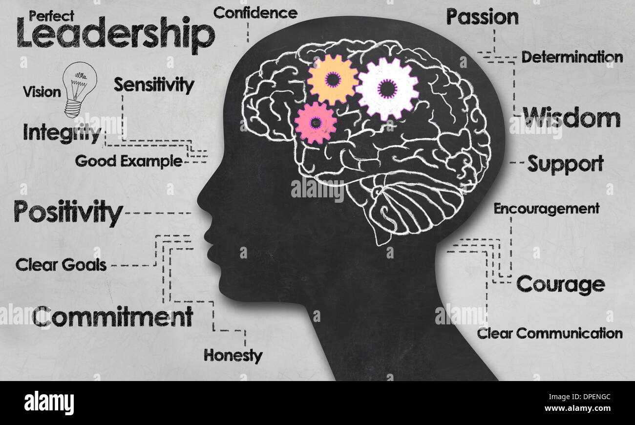 Female Brain and Outline with Positive Words of Leadership Stock Photo ...