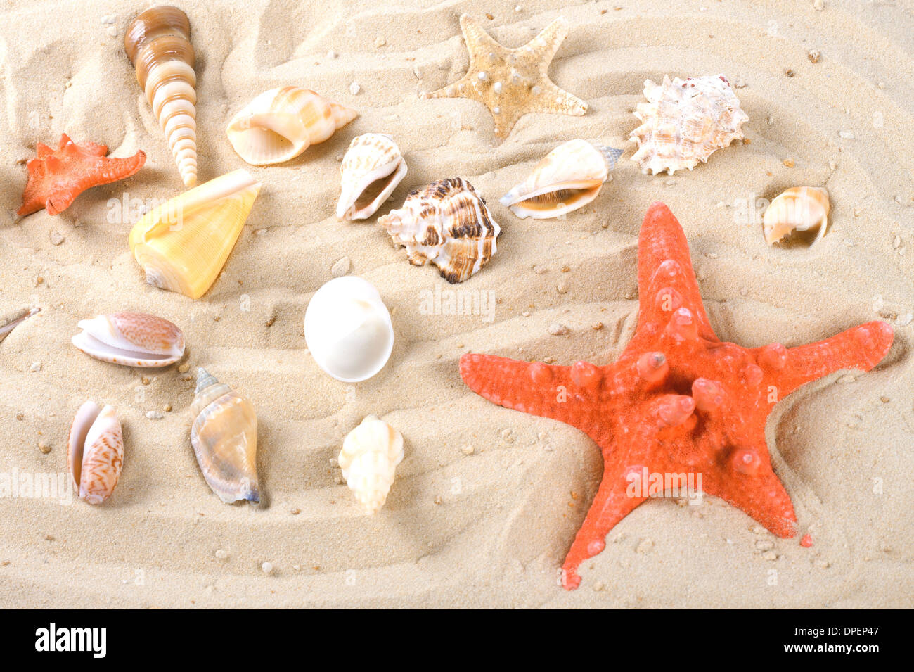 Background with loose sand and orange starfish Stock Photo - Alamy