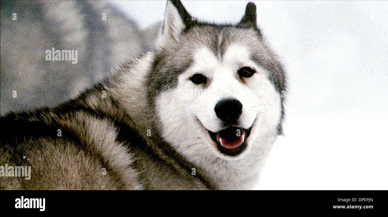 Eight below hi-res stock photography and images - Alamy