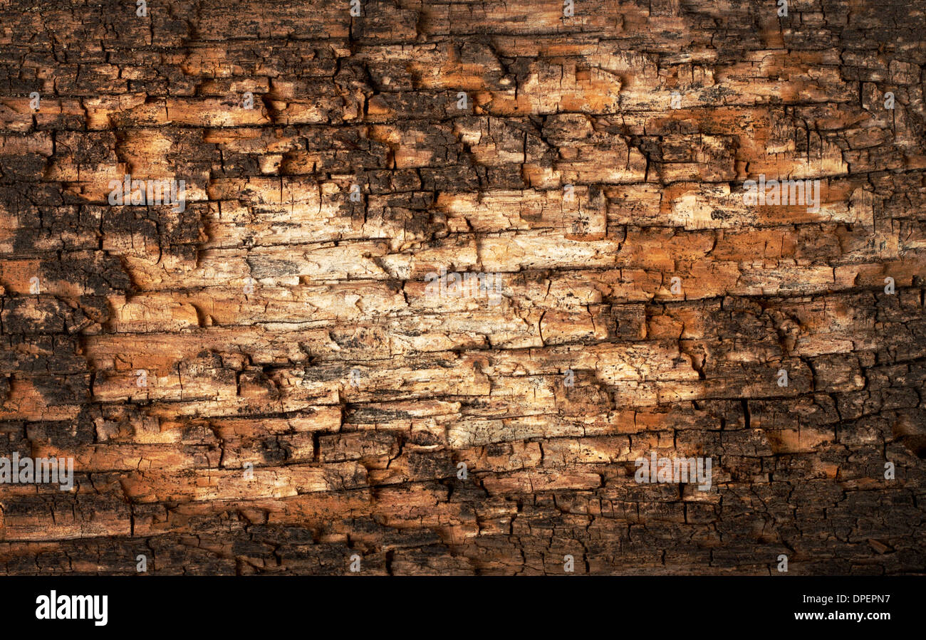 Background of old wood soaked in water Stock Photo - Alamy