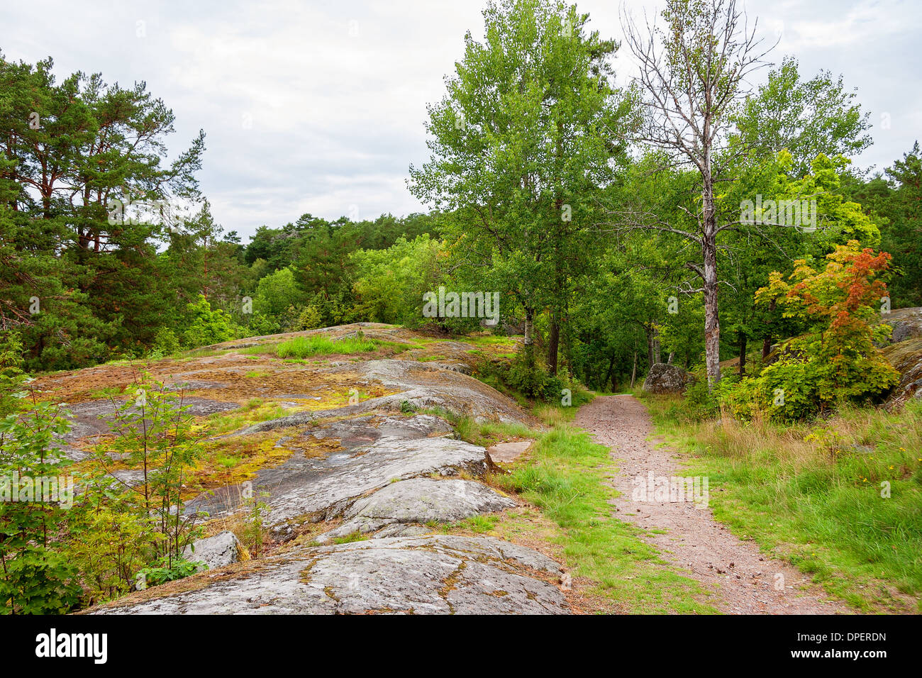 Sweden woods hi-res stock photography and images - Alamy