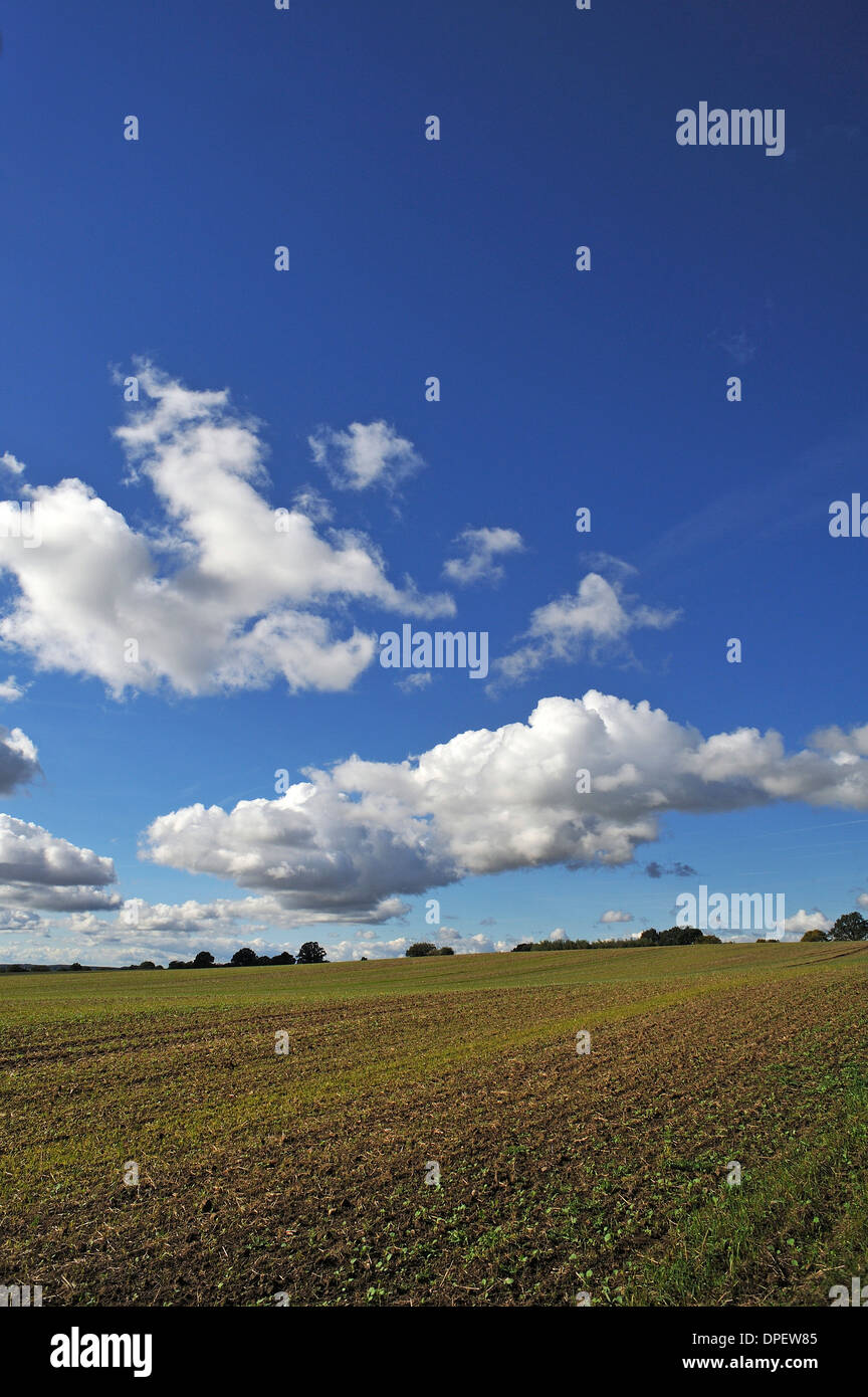 Cumulus clouds distance hi-res stock photography and images - Alamy