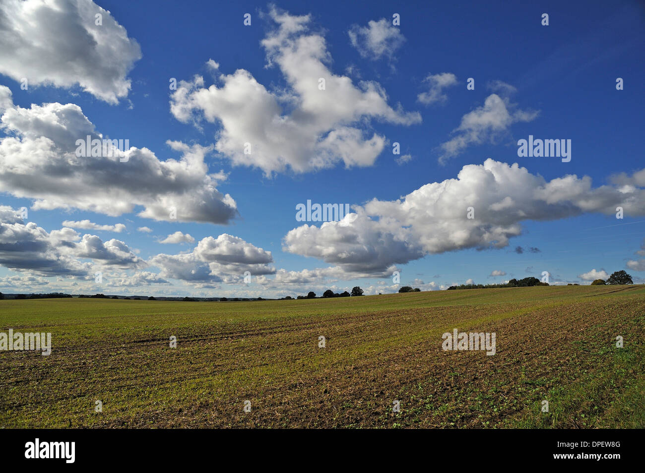 Cumulus clouds distance hi-res stock photography and images - Alamy