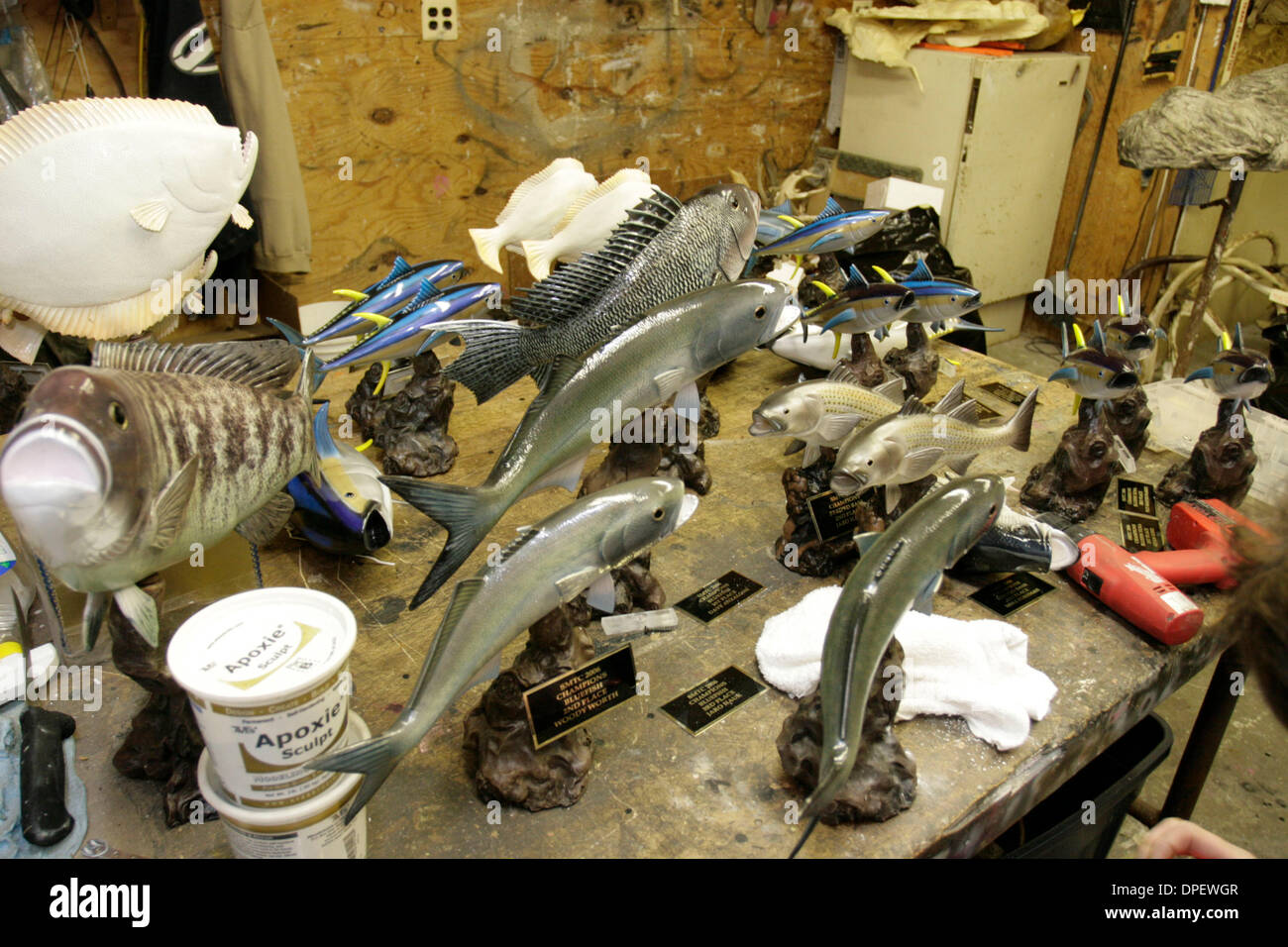 Butchering deer hi-res stock photography and images - Alamy