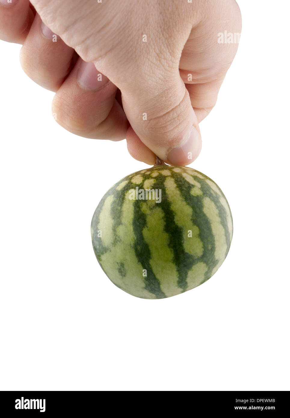 Smallest Watermelon In The World