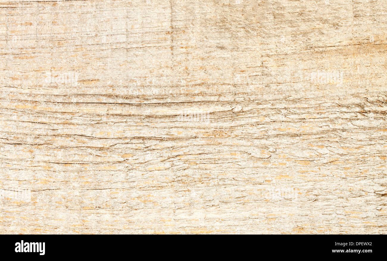 Background texture of light cut tree with fibers Stock Photo - Alamy